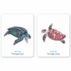 Juego de memoria: Animales marinos