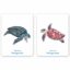 Juego de memoria: Animales marinos